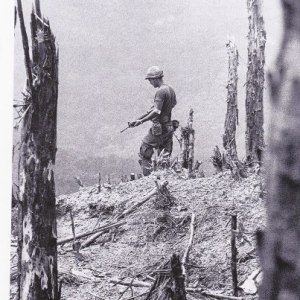 Siege of Firebase Ripcord – CherriesWriter – Vietnam War website