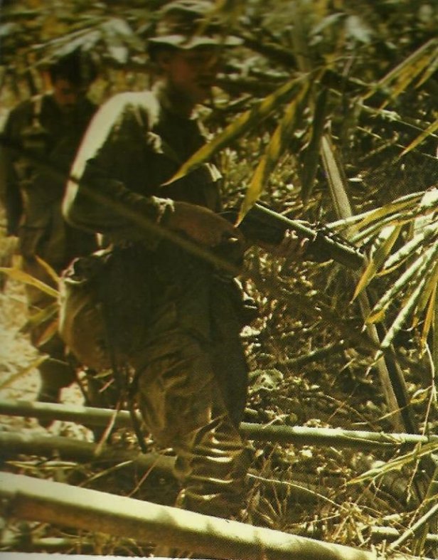 A Day in the Life of an Infantry Point Man in Vietnam – CherriesWriter ...