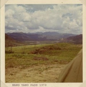 Dazed and Confused (Guest Blog) – CherriesWriter – Vietnam War website