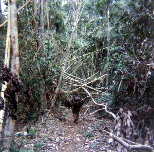 A Day in the Life of an Infantry Point Man in Vietnam – CherriesWriter ...