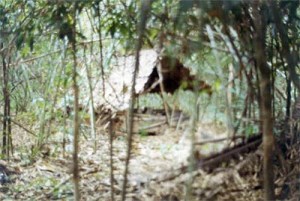 A Day in the Life of an Infantry Point Man in Vietnam – CherriesWriter ...