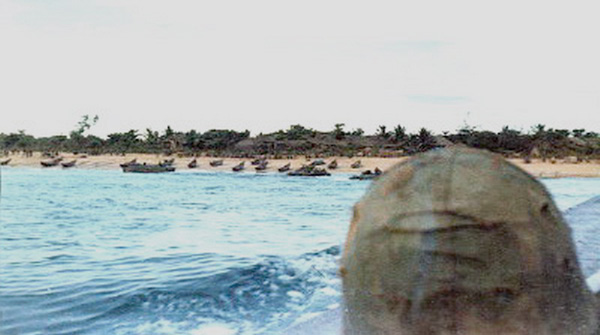 Operation Starlite: First Battle in Vietnam War – CherriesWriter ...