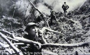 The Fog of War: The Vietnamese View of the Ia Drang Battle ...