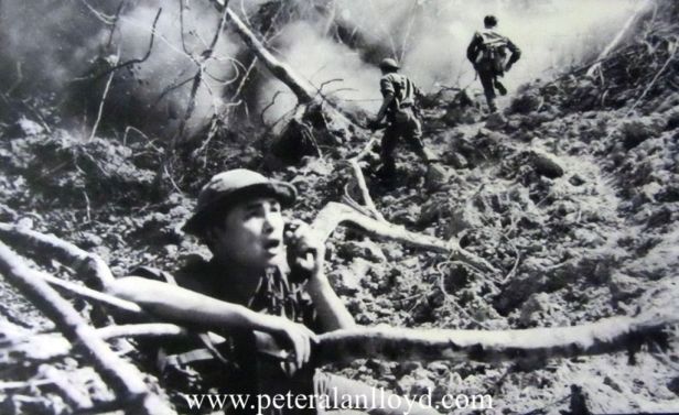 The Fog of War: The Vietnamese View of the Ia Drang Battle ...