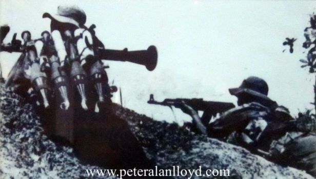 The Fog of War: The Vietnamese View of the Ia Drang Battle ...