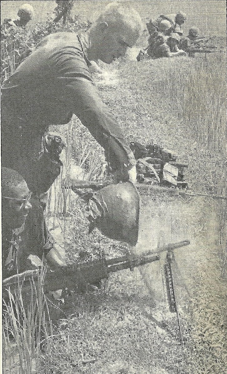 The Delta River War – Brown Water Navy – CherriesWriter – Vietnam War ...