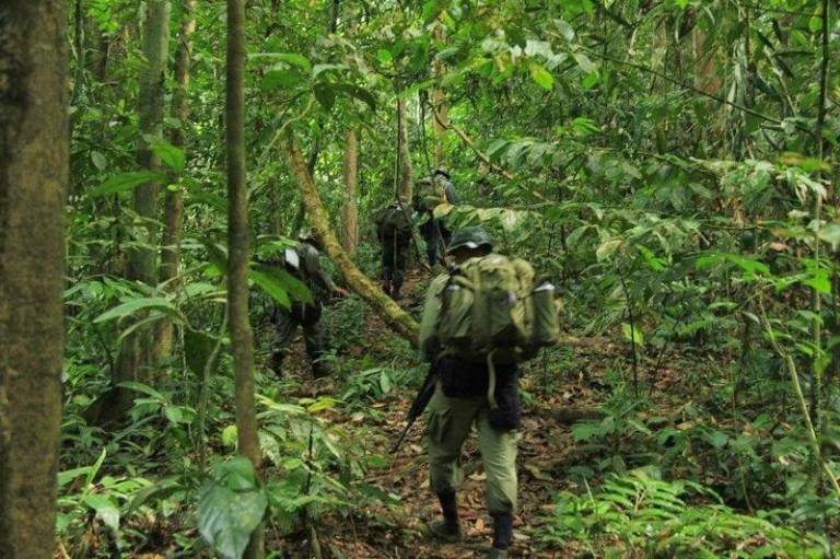 The Bush – CherriesWriter – Vietnam War website